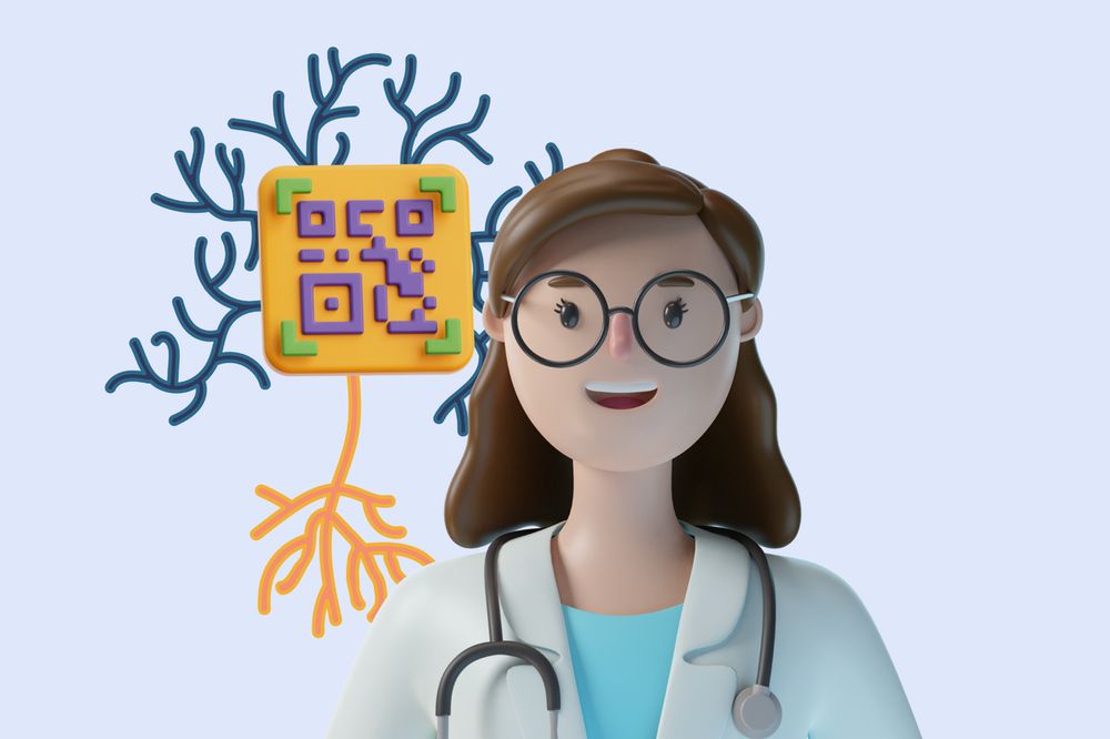 QR Code Structure: Discover Its Anatomy & Basics