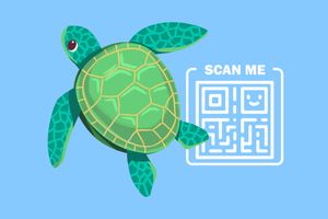 QR Code Structure: Discover Its Anatomy & Basics