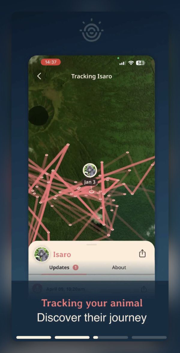 Fahlo QR Code: How to Track Your Animal?